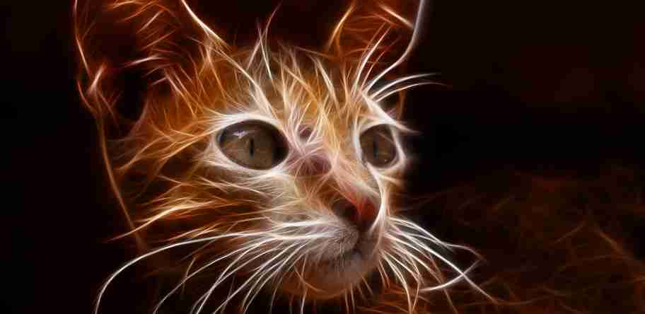 Photoshop Artistic Filters Tutorial - Web Courses Bangkok